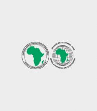 AfDB appoints former TDB, Afreximbank exec to lead syndication and ...